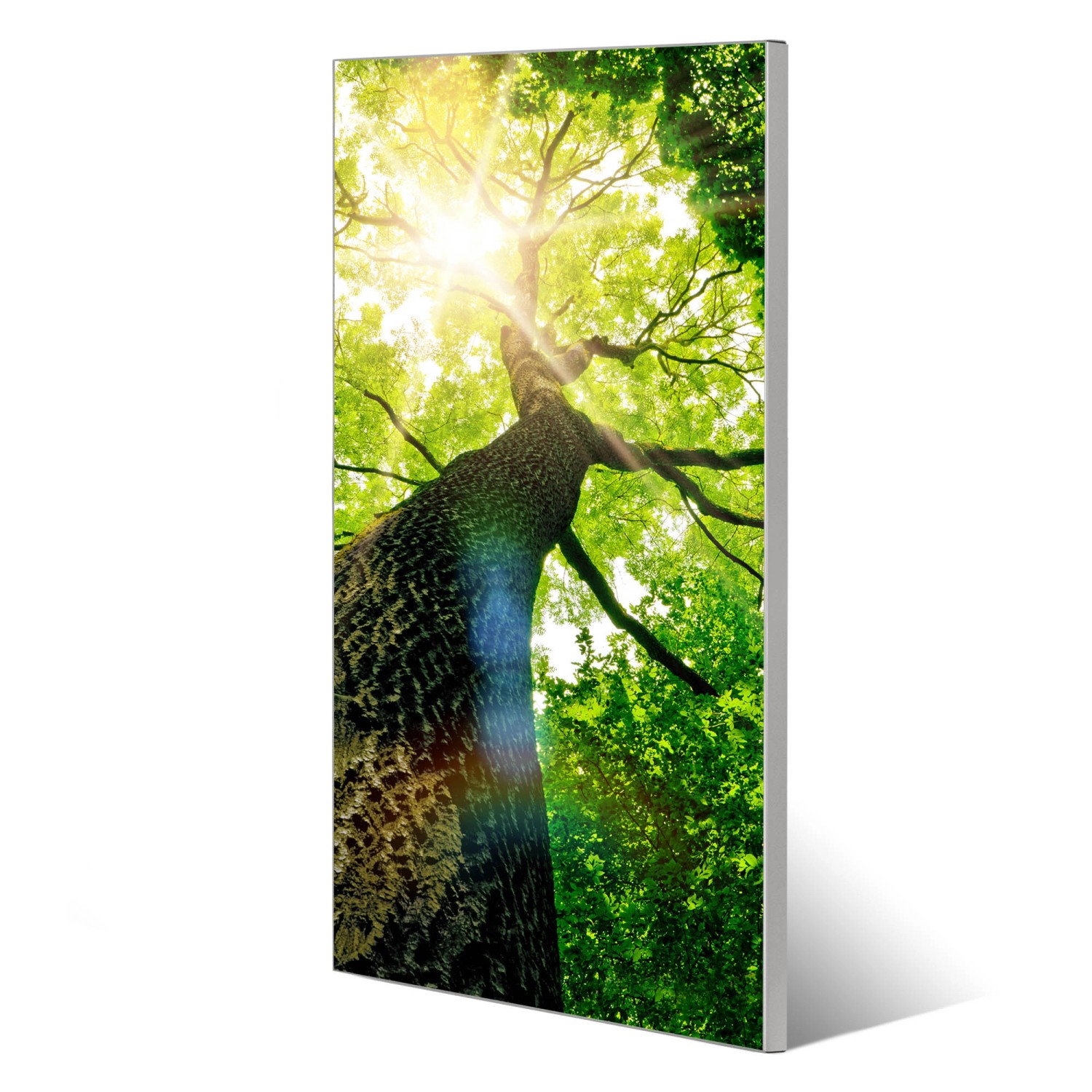 Banjado Magnettafel 37x78cm Magnetwand Silber Aus Metall Magnetpinnwand ...