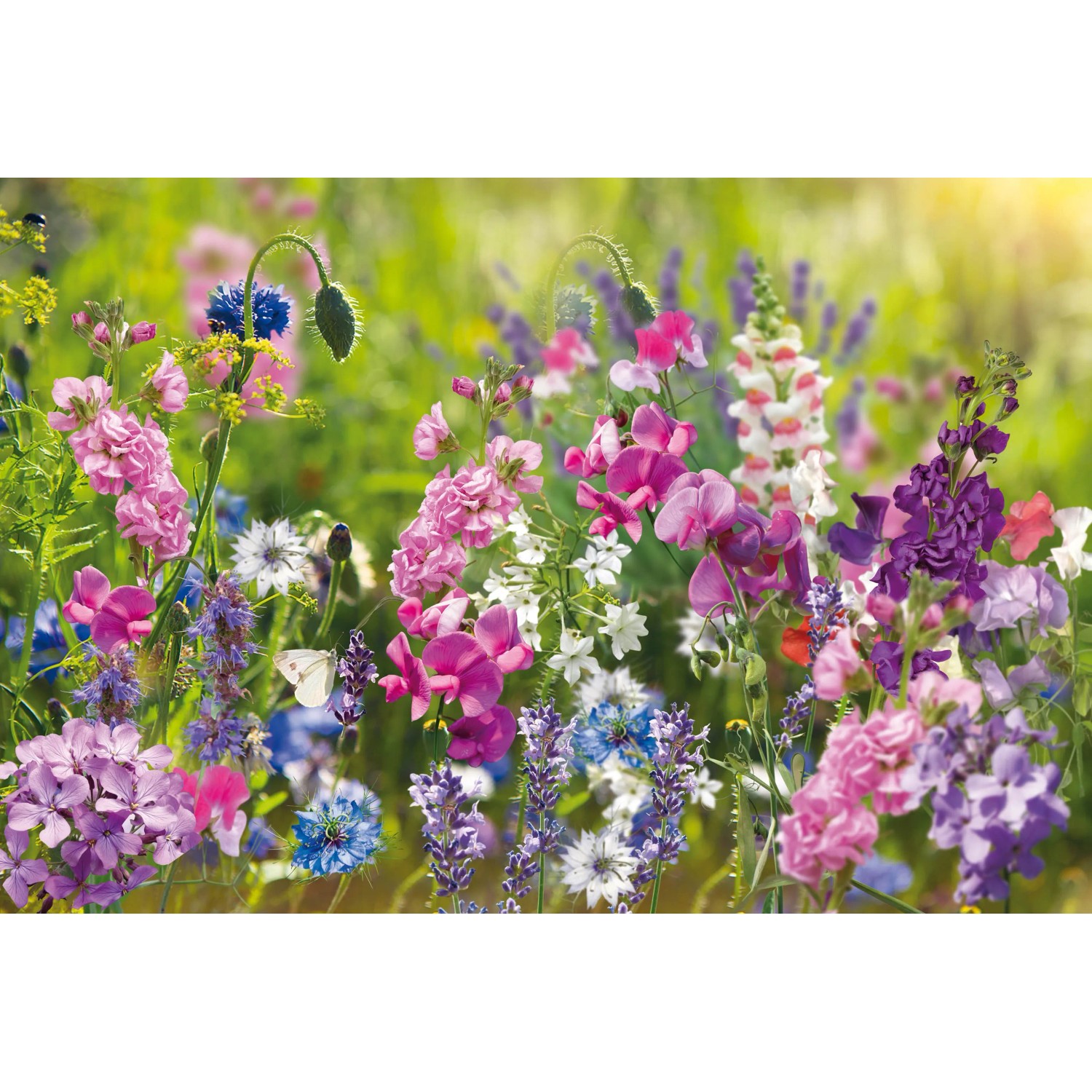 GROW by OBI Blumenmischung "Duftender Garten" Streuschachtel kaufen bei OBI