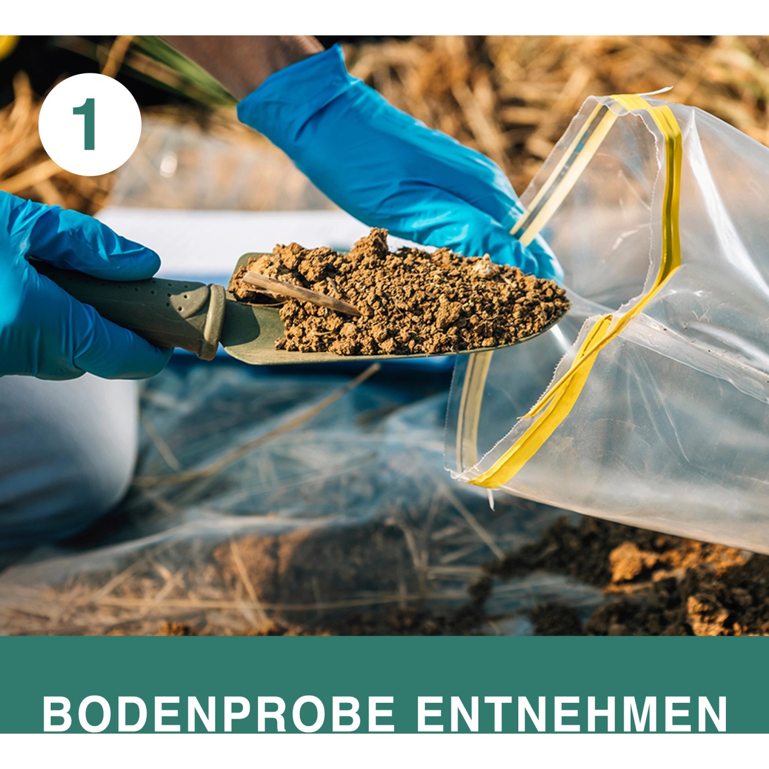Ivario Bodentest Schadstoffe 7 Prüfwerte kaufen bei OBI
