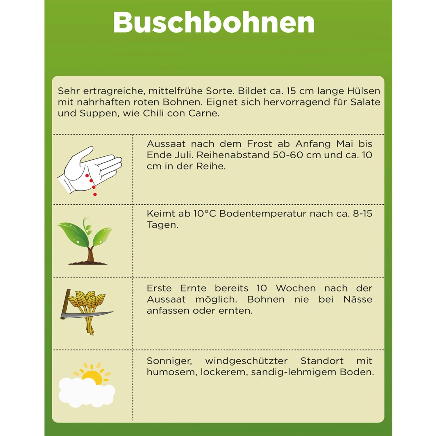 Deine Gartenwelt Buschbohne Augusta Samen kaufen bei OBI