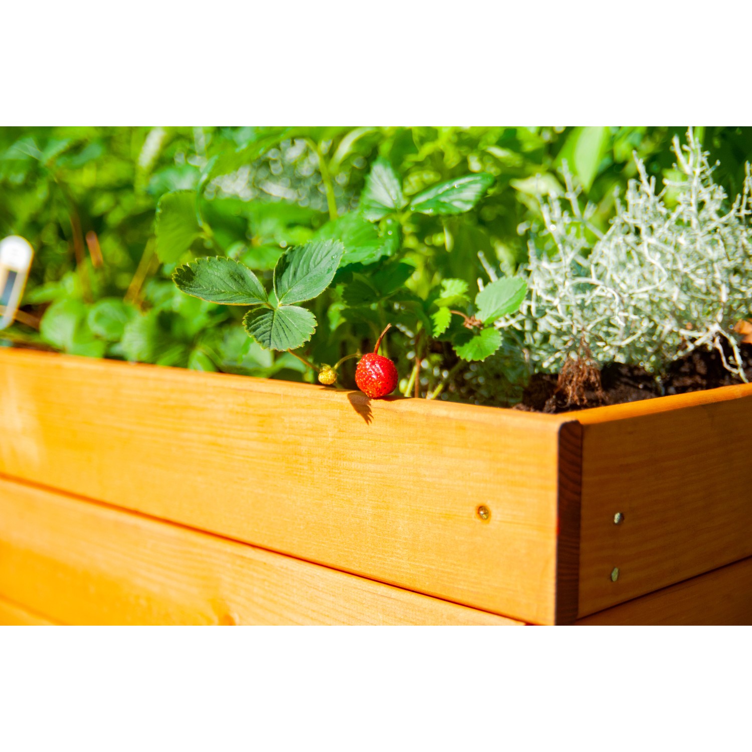 Dobar Hochbeet Kubus 2.0 mit Ablage und Pflanzfolie 78 cm Hellbraun FSC ...