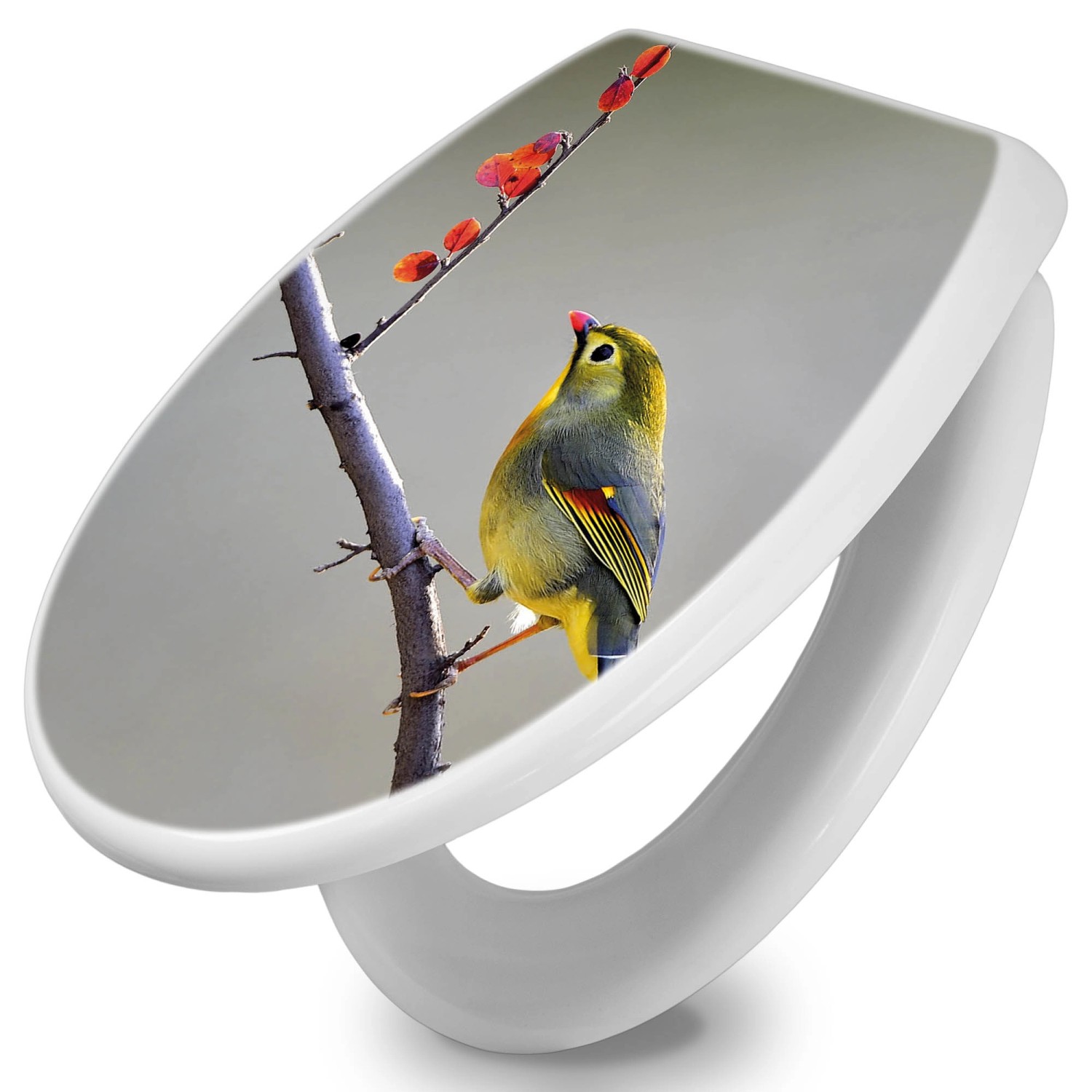 Banjado Toilettendeckel Mit Absenkautomatik WC-Sitz Soft Close Weiß ...