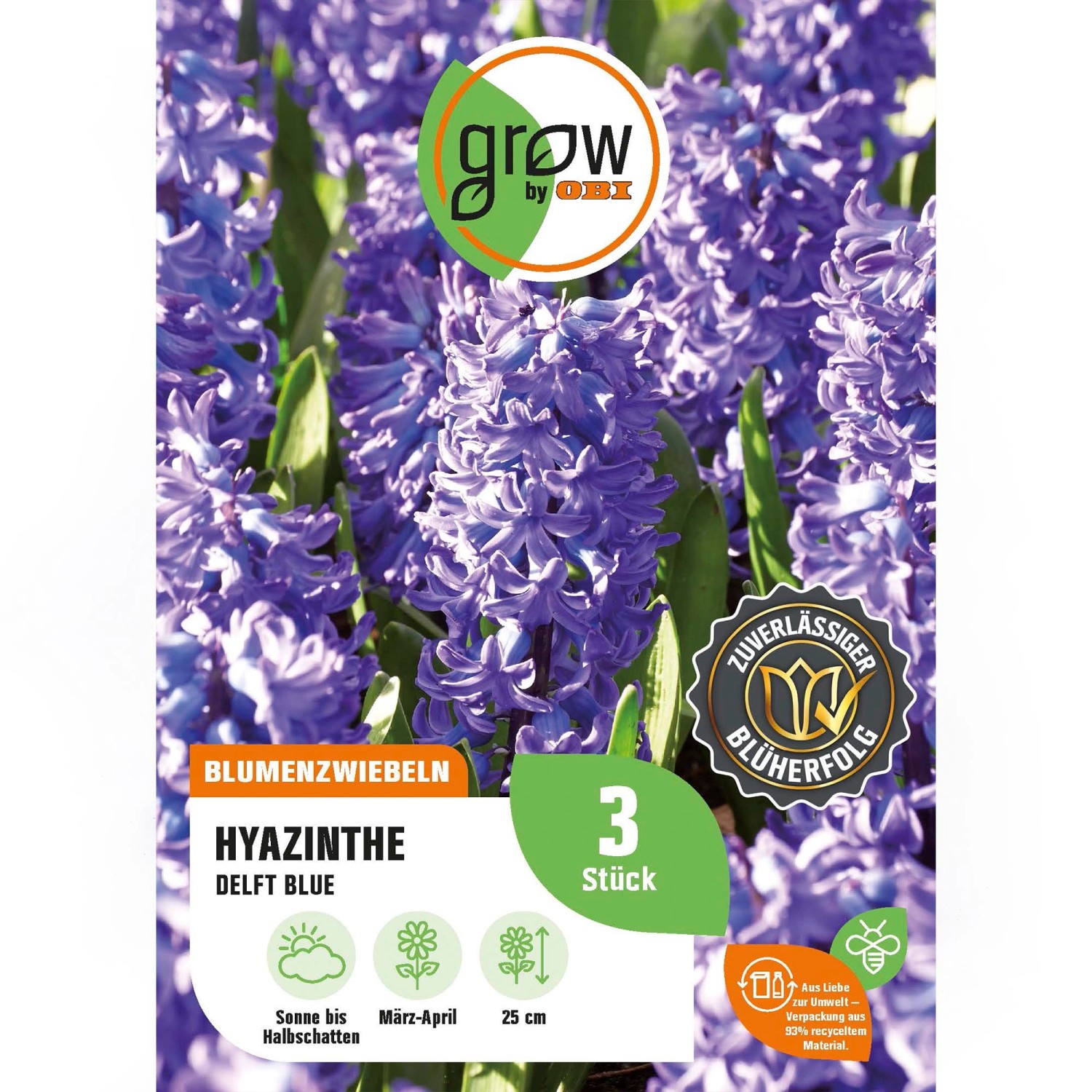 GROW by OBI Hyazinthe Delft Blue Blau 3 Stück Hyacinthus orientalis Delft Blue kaufen bei OBI
