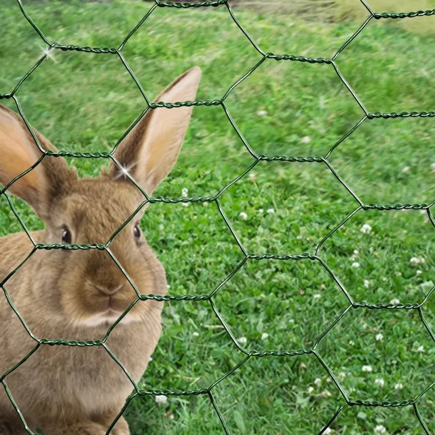 Karat Drahtzaun für Garten und Kleintiere 1 x 10 m Sechseckgeflecht ...