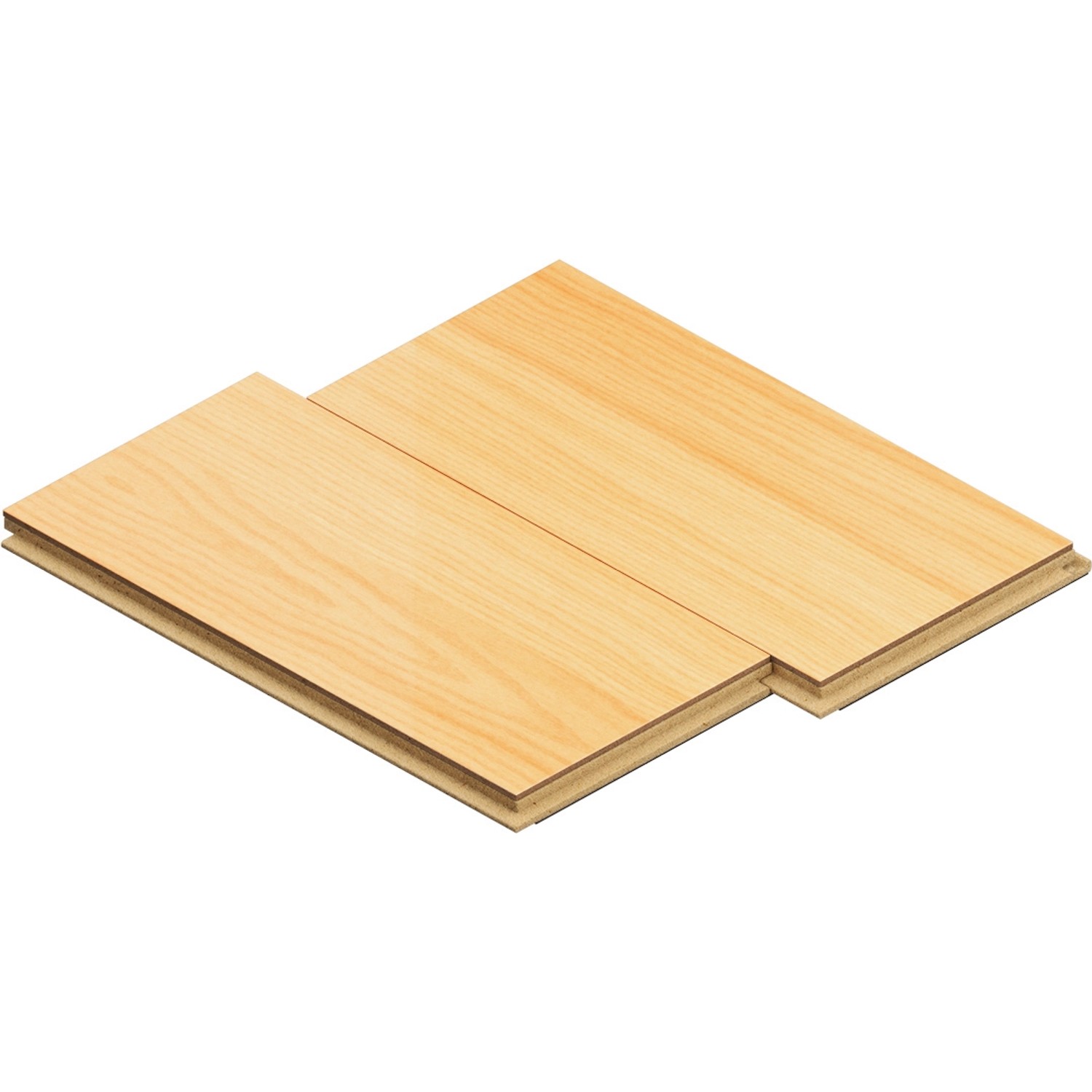 Bosch Expert Schleifplatte Starlock Multi Material AVZ32 RT4 32 mm x 50 ...