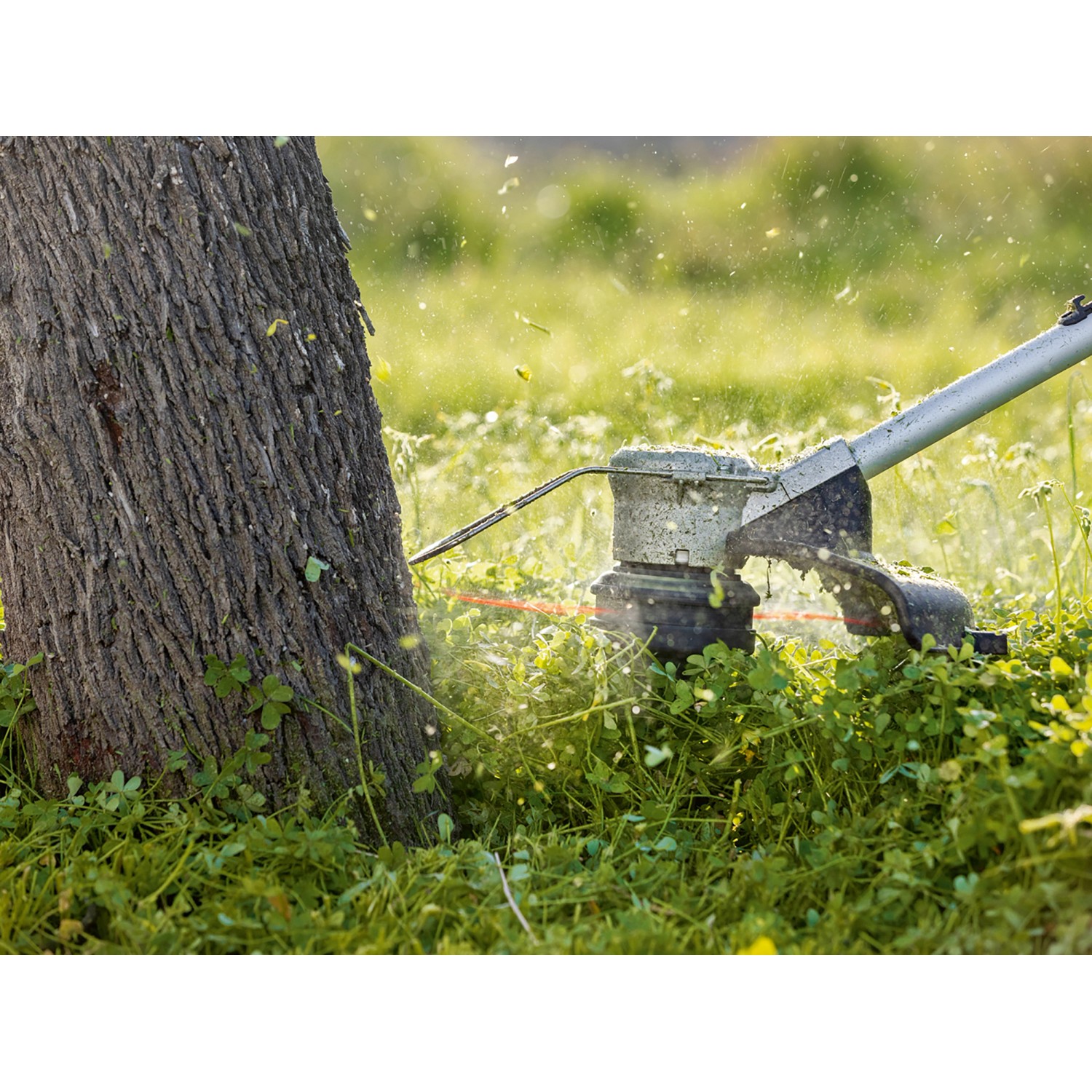 Bosch Professional Akku-Rasentrimmer GRT 18V-33 Solo bei OBI