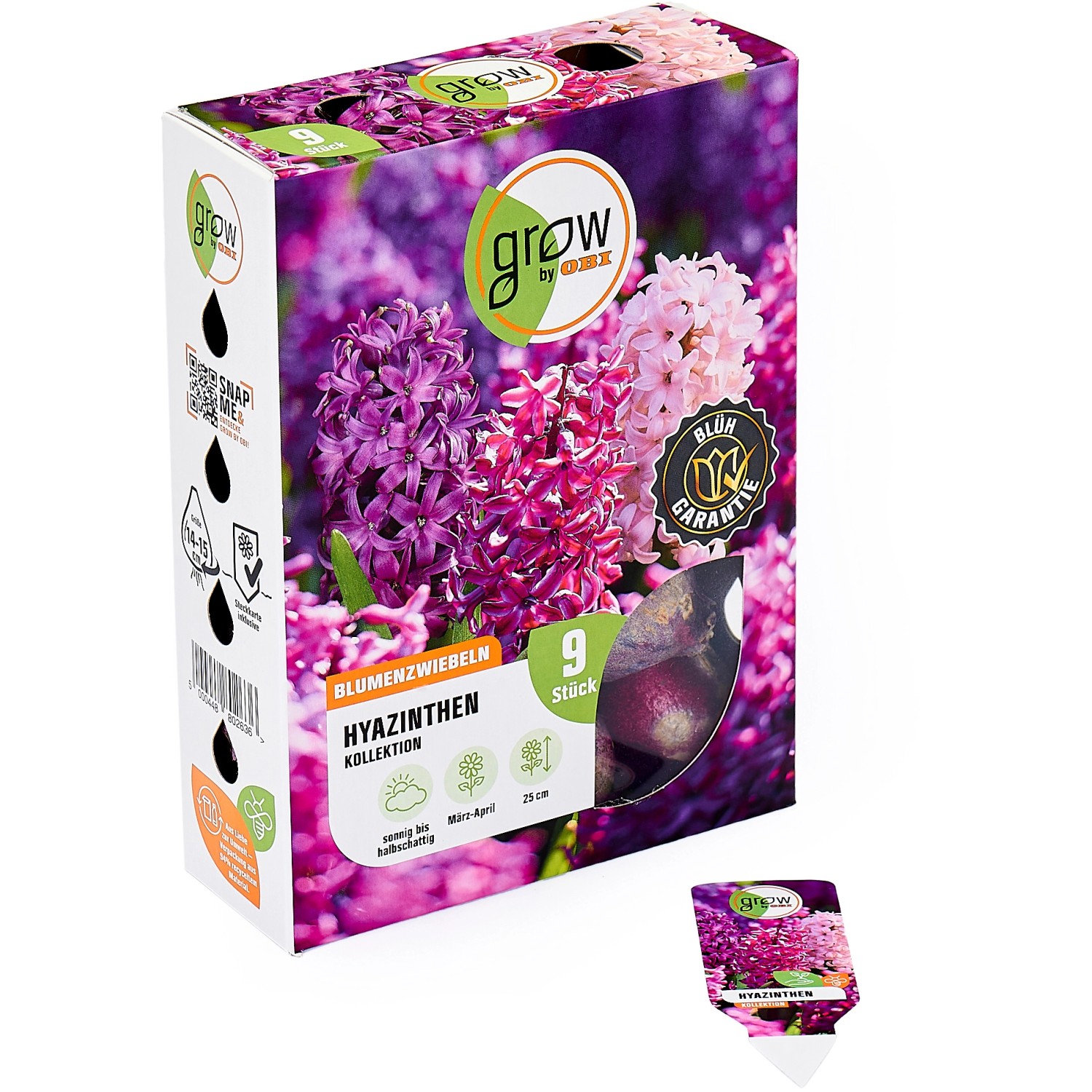 GROW by OBI Hyazinthen-Blumenzwiebel Kollektion 9 Stück Hyacinthus orientalis kaufen bei OBI