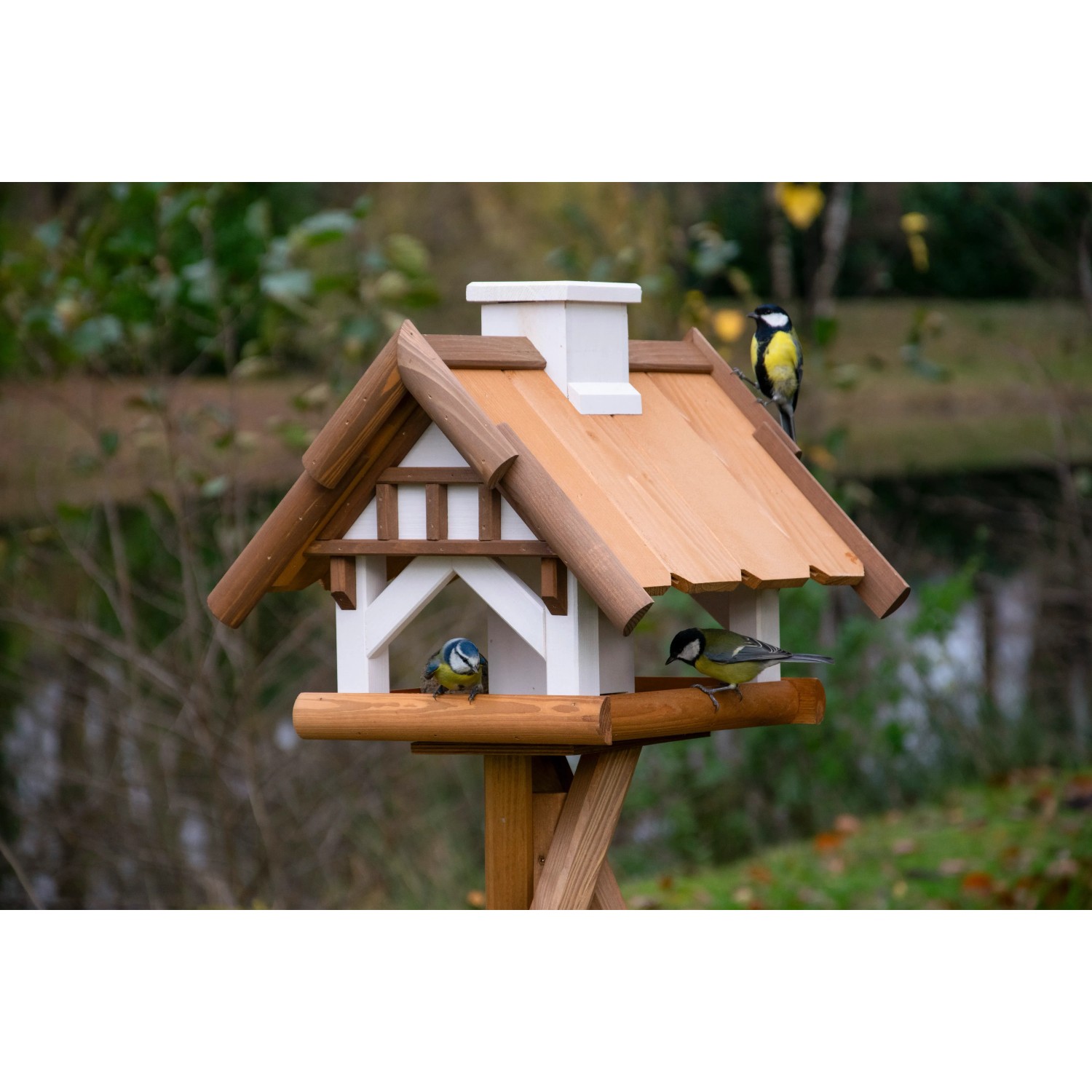 Schone Wann Vogelhaus Aufhangen Bilder