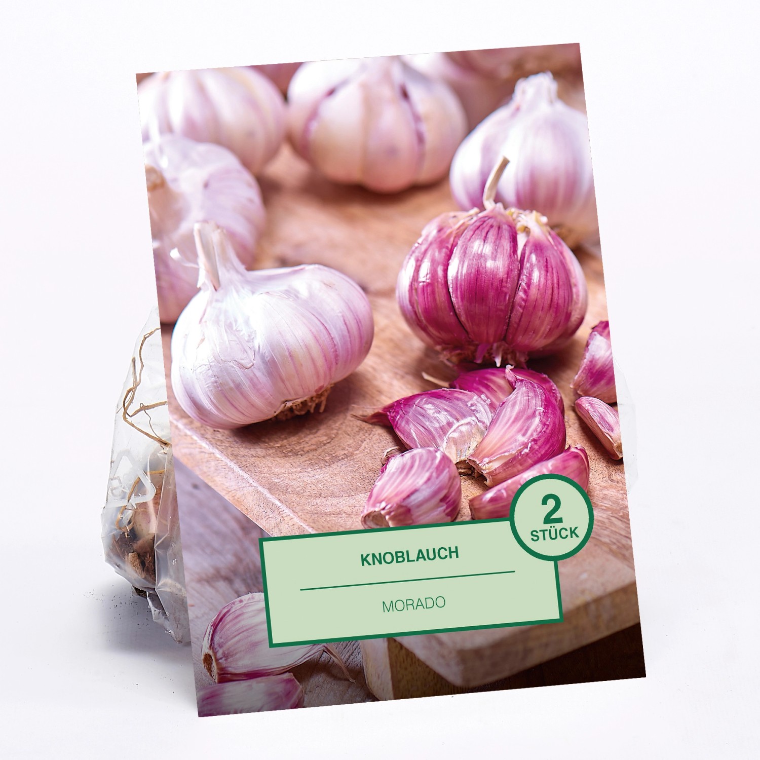 Knoblauch 2 Stück Allium sativum Morado kaufen bei OBI