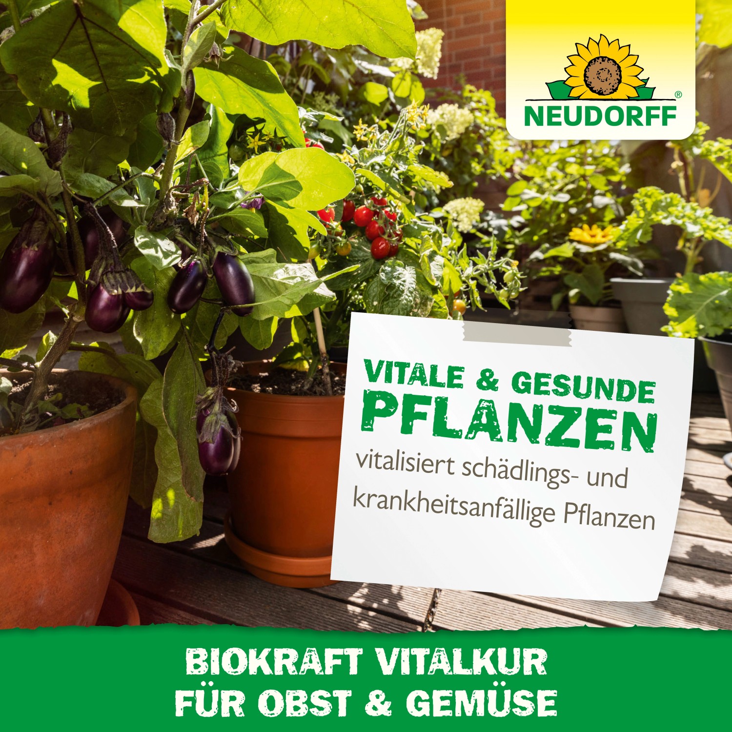 Neudorff Biokraft Vitalkur für Obst und Gemüse 300 ml kaufen bei OBI