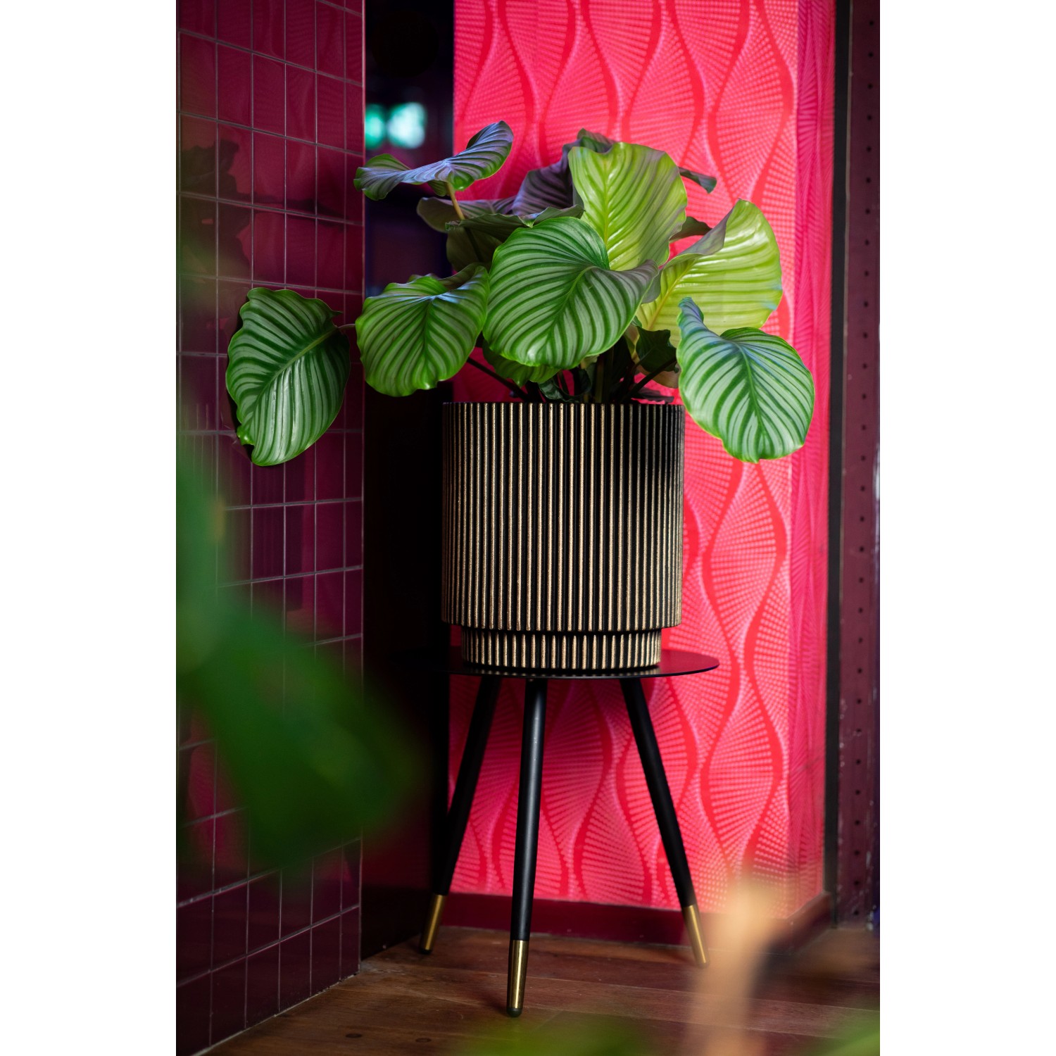 Capi Pflanzgefäß Zylinder Groove Ø 43,5 cm x 46 cm Gold-Schwarz kaufen ...