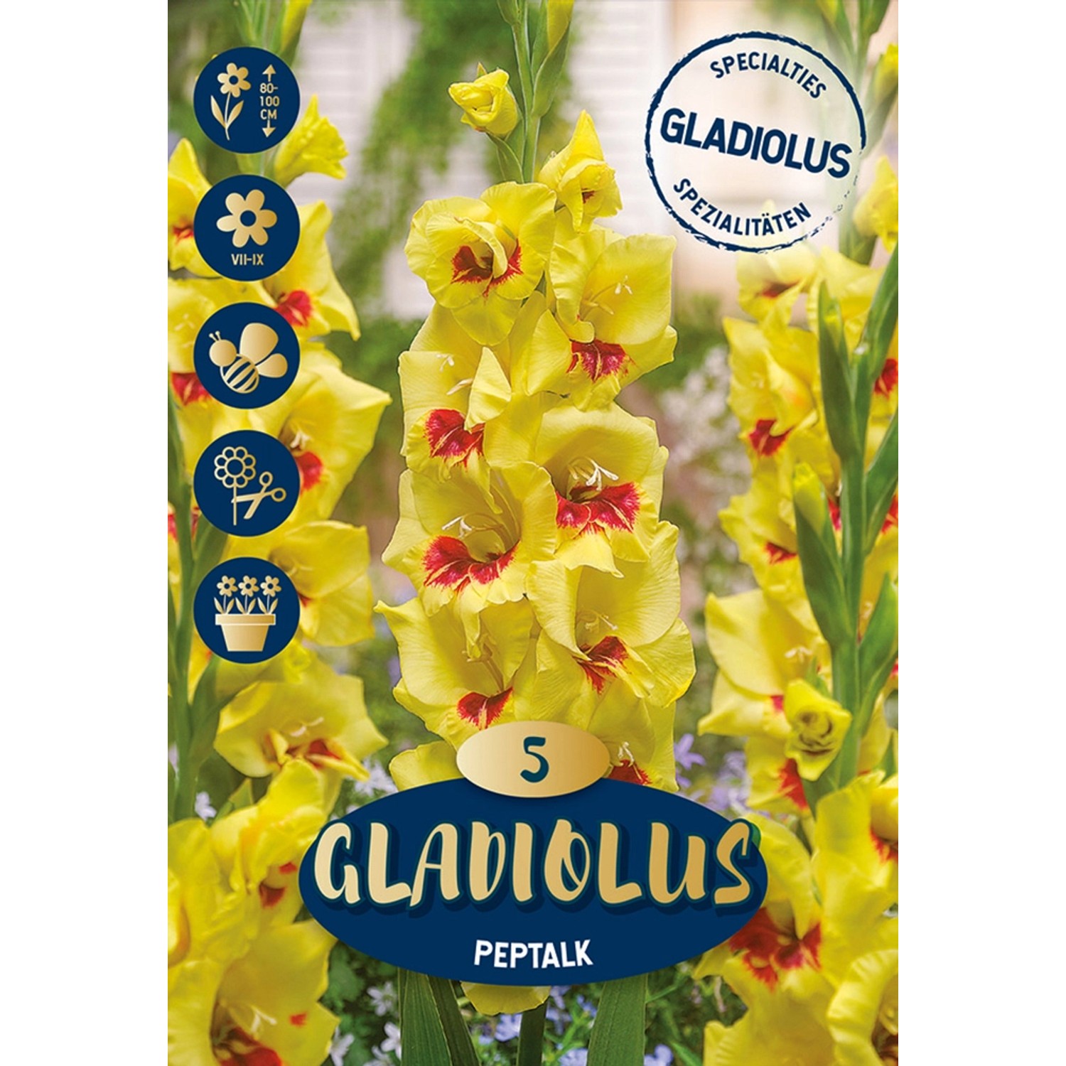 Gladiolen "Amber Mistique" Weiß-Rosa kaufen bei OBI